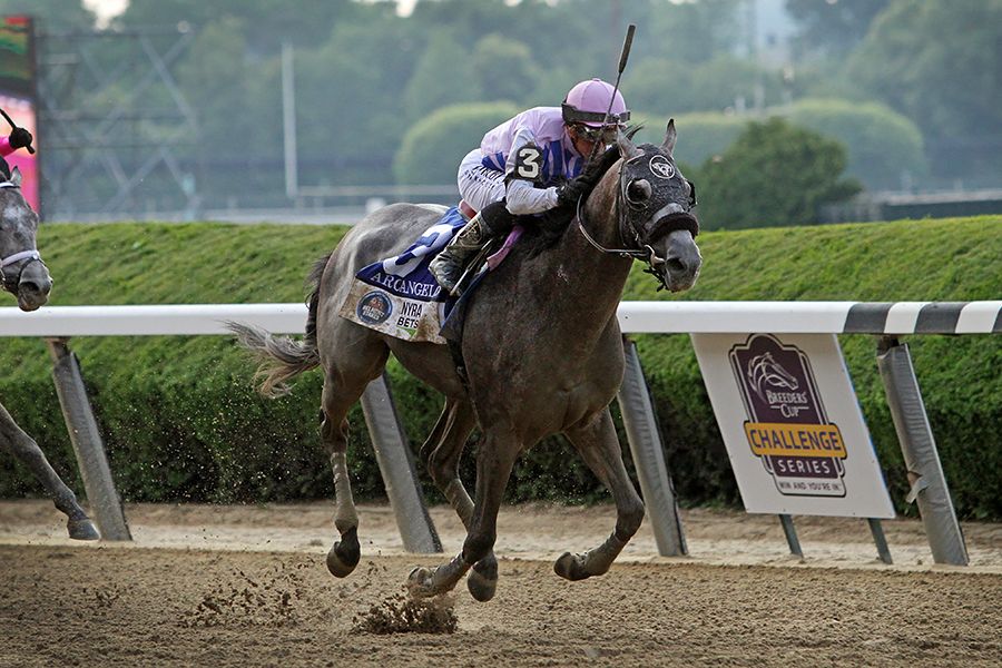 'This is the most beautiful horse I have ever seen' - Arcangelo to ...