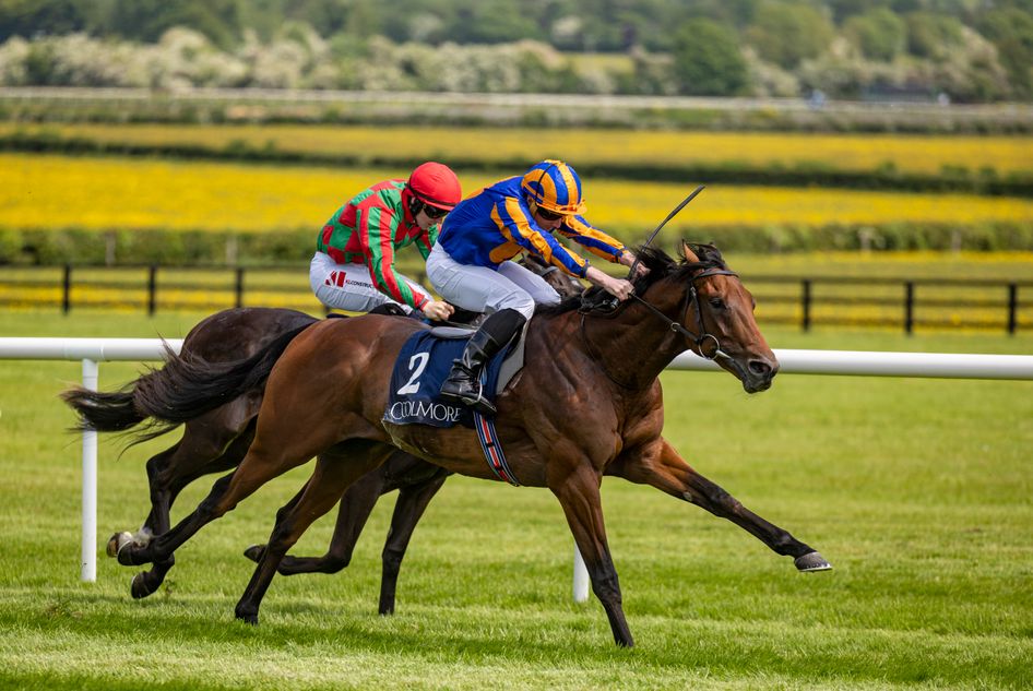 'He's a horse to look forward to' - Aidan O'Brien impressed as River ...