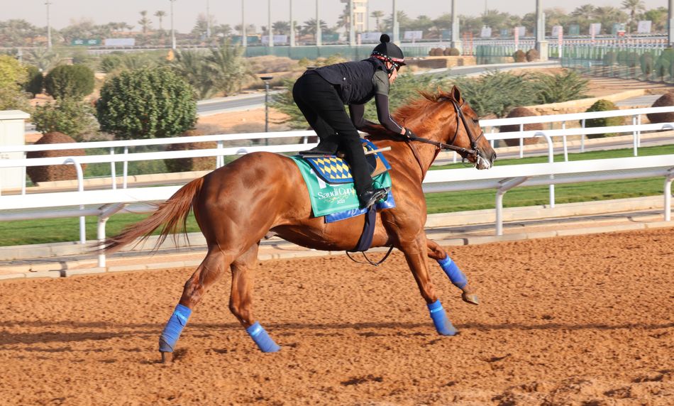 Taiba, Zandon and Arabian Lion unveiled as new sires at Spendthrift ...
