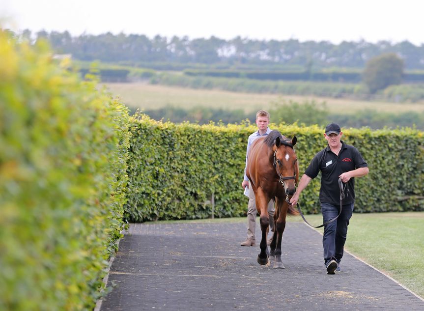 'I'm eager to deliver on this for clients' - Adam Potts joins BBA ...