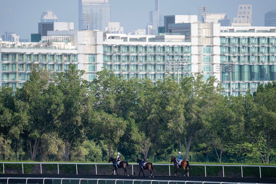 Record clearance rate for inaugural Tattersalls Online Emirates Racing ...