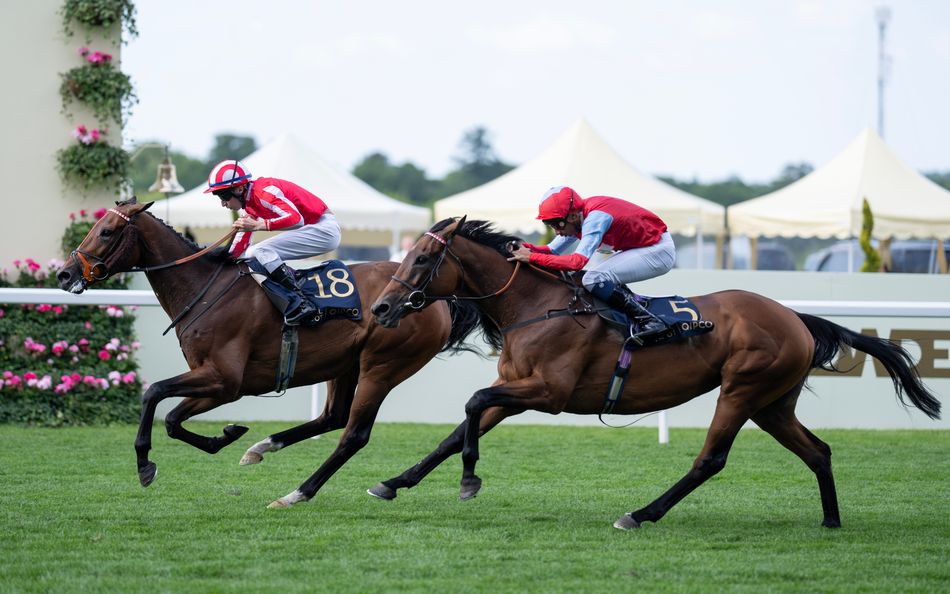 20-1 Pledgeofallegiance strikes for Sir Mark Prescott and Luke Morris ...