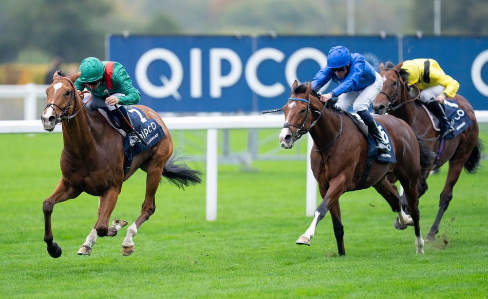 King George and Champion Stakes hero Calandagan crowned Horse of the ...