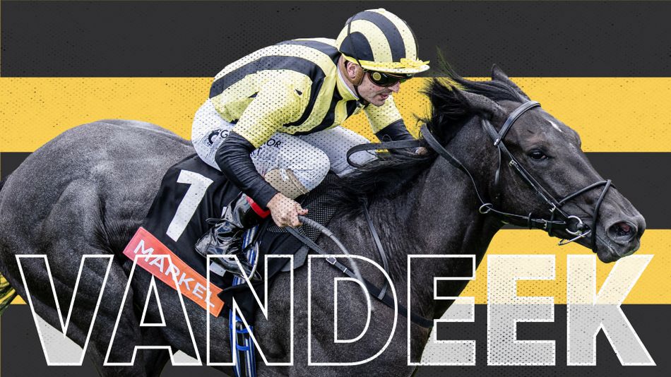 'Vandeek is a top-class colt, he'll take all the beating' - Crisfords ...