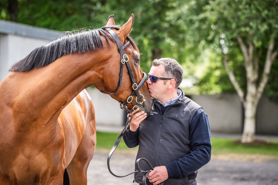 'He's just superb, every show was the same' - Diamond days for Brook ...