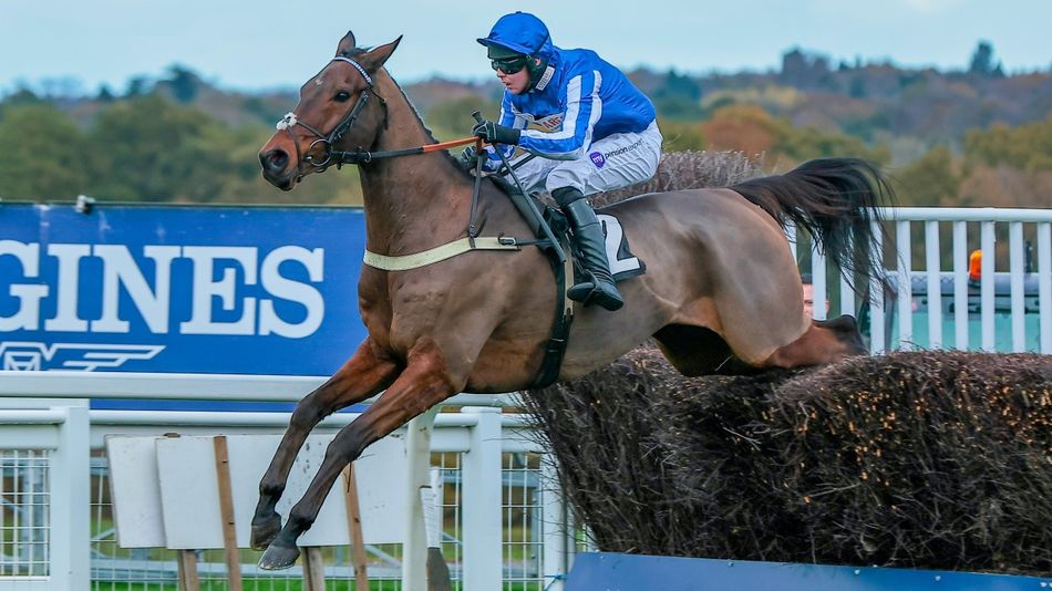 Rare British interest as Lorcan Williams and Ben Pauling prepare for ...