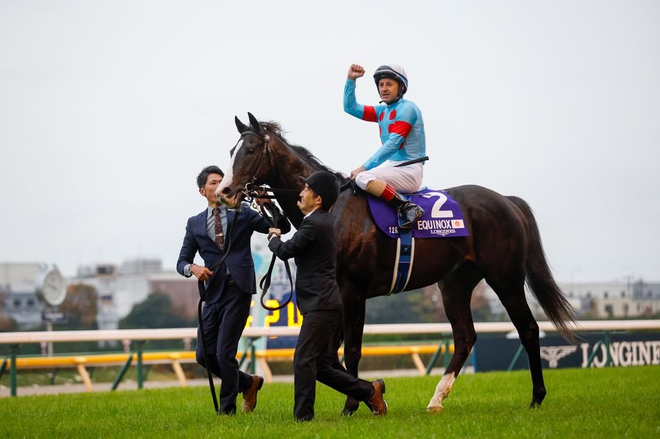 Equinox to stand for a record-breaking ¥20 million at Shadai Stallion ...