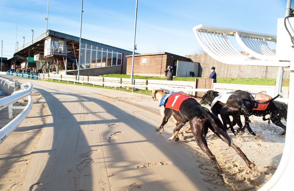 Arc acquire lease at Suffolk Downs | Racing Post