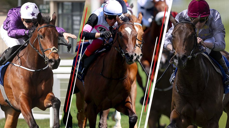 'We're absolutely thrilled with him' - can Bucanero Fuerte make Group 1 ...