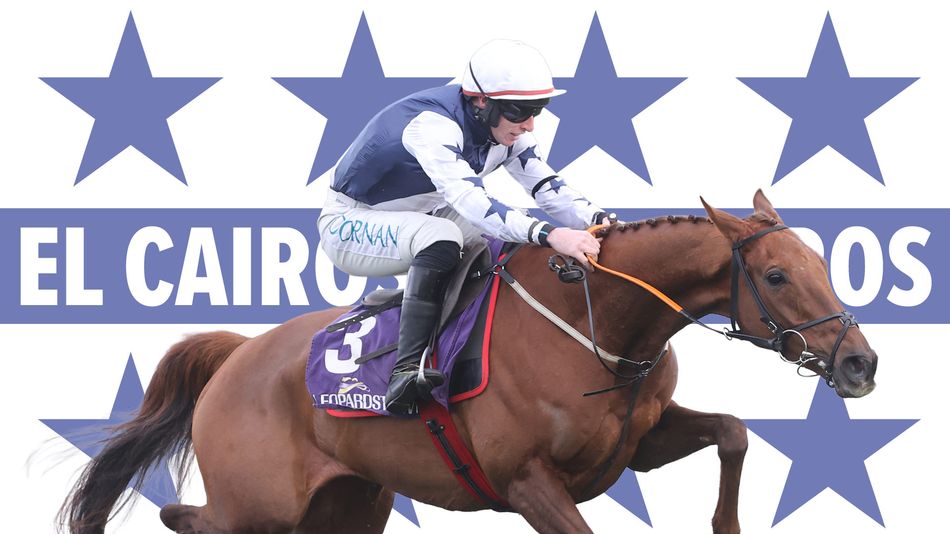 Supreme second favourite El Cairos runs today - can he do anything to ...