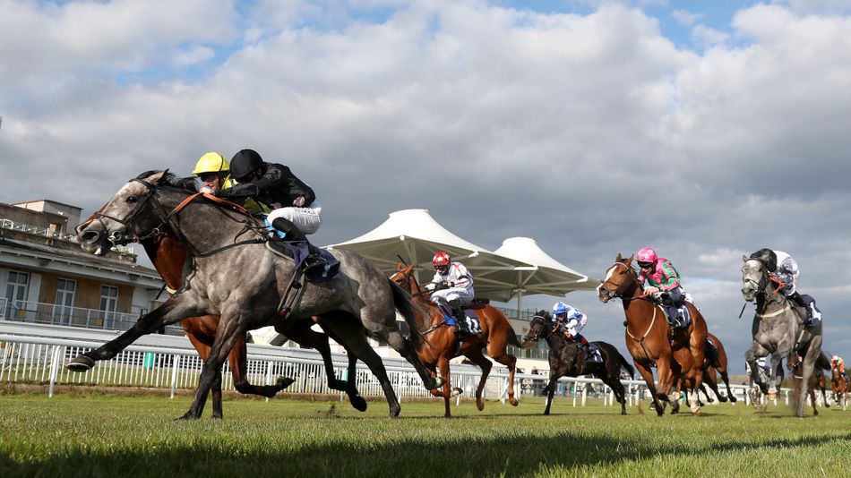 265 horses left without a run on Bath's richest ever raceday on Good ...