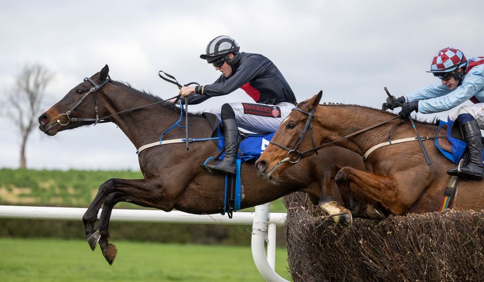 'She had some lovely snippets of form' - My Design survives scare to ...