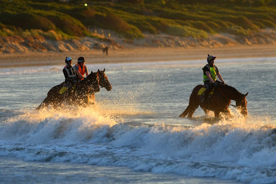 'I took a few layers off and jumped in' - Australian stable worker ...