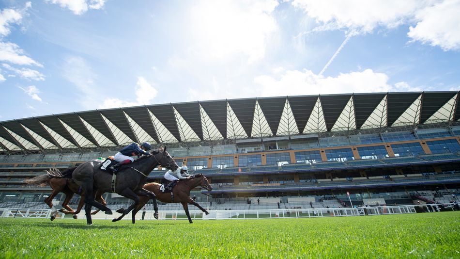 BHA warns MPs affordability checks could be 'financially devastating ...