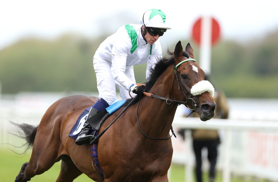 'He’s a perfect horse for the St Leger' - Owen Burrows to work back ...
