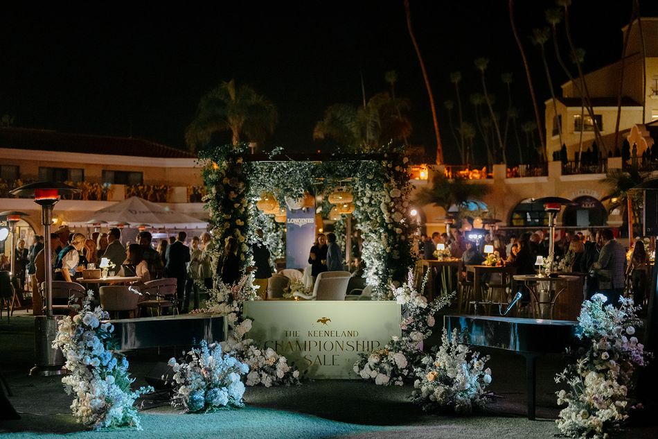Shares in Breeders' Cup Sprint headliners and leading sires on offer in ...