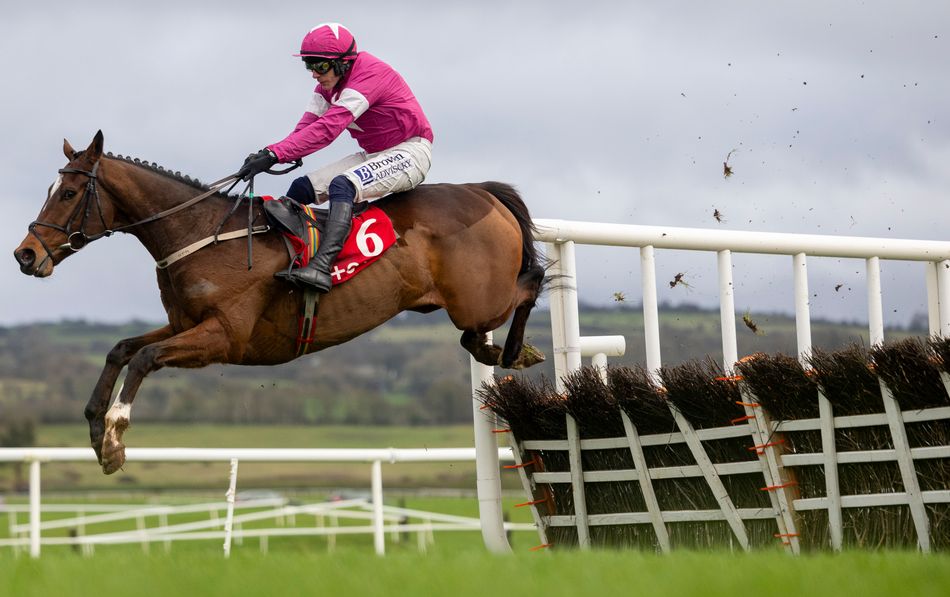 Gigginstown's Storm Heart surges into Triumph Hurdle picture after ...