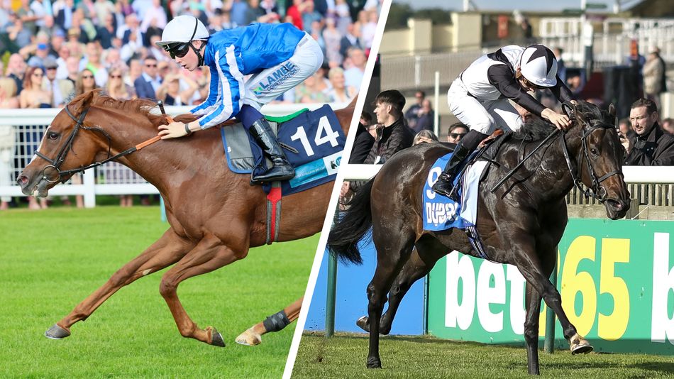 'She goes there with a good shout' - key quotes and analysis for the ...