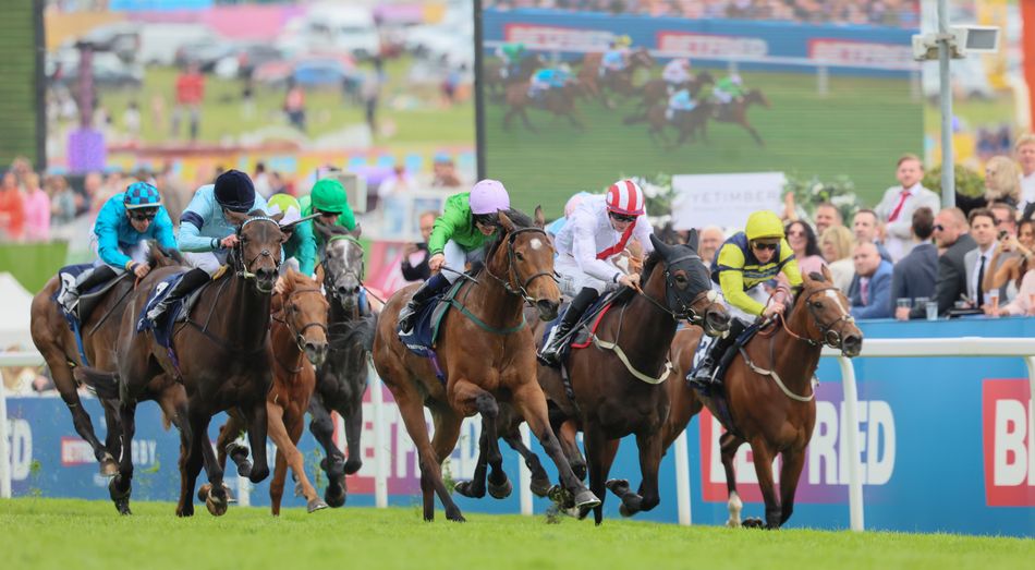 'She's crying out for a race' - James Tate supplements Royal Dress for ...