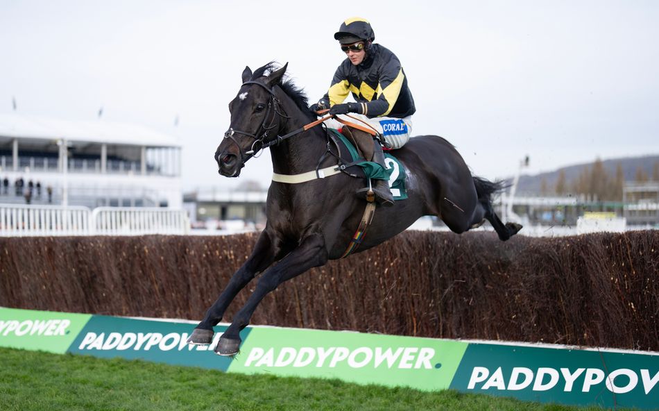 Cheltenham woes forgotten as JPR One bids to give Joe Tizzard a ...
