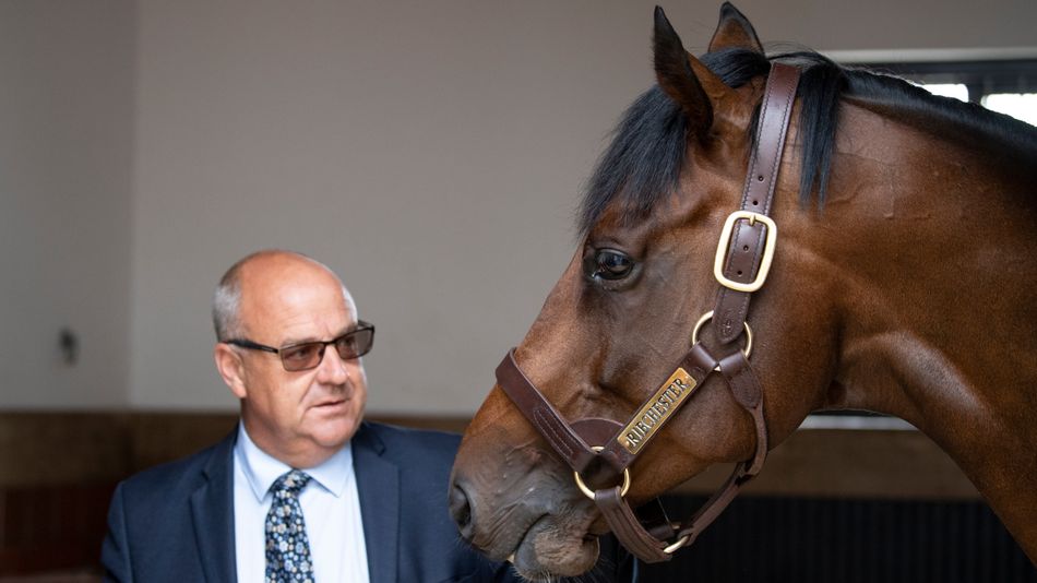 Fahey fancies, Group-race pointers and Joseph mob-handed - three key ...