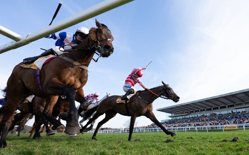 Go Dante strikes late to land back-to-back victories in Imperial Cup ...