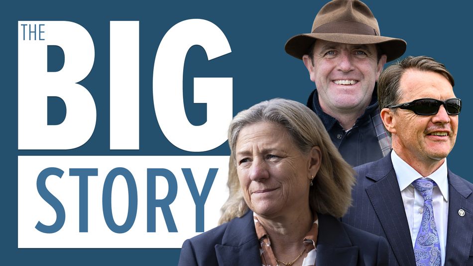 'It’s all about the little man and the dream' - Eve Johnson Houghton v ...