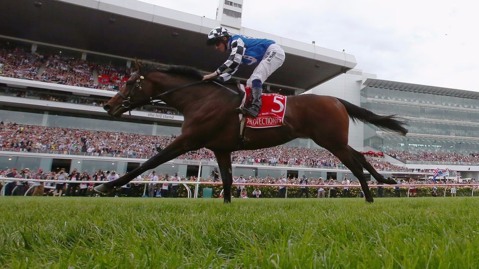 'He meant a lot to so many' - Australian Bloodstock announces death of ...