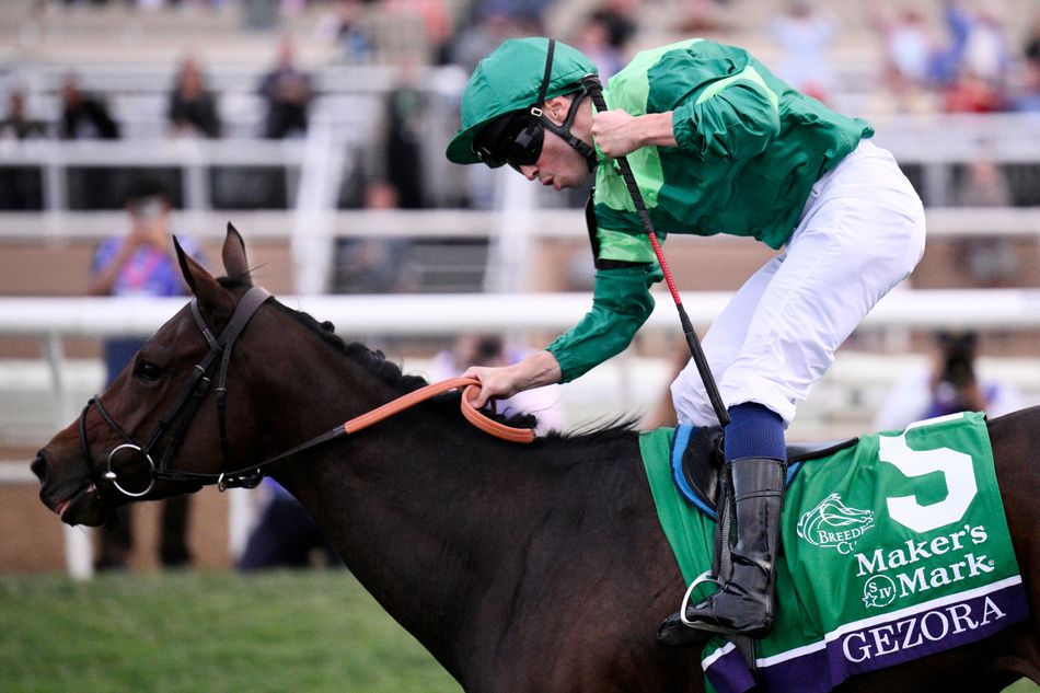Francis Graffard's remarkable run continues with Gezora proving too ...