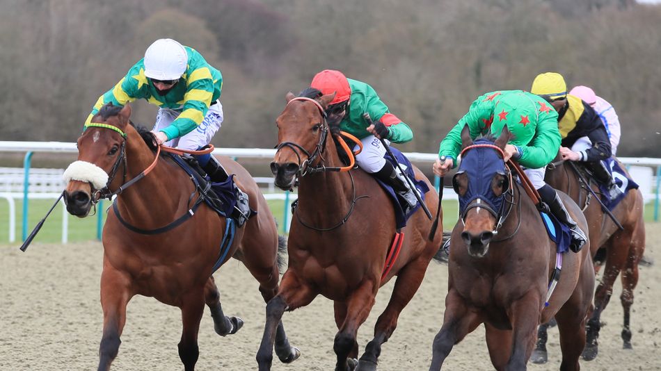 Don't rule out a course specialist! 40-1 shot Count Otto springs a ...