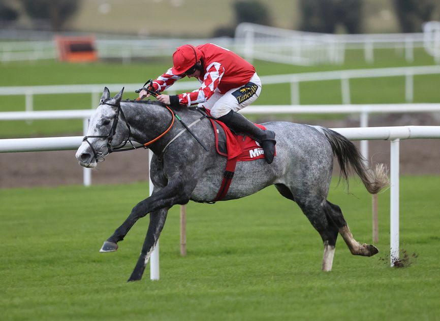 Paul Nicholls: Caldwell Potter won't go to Cheltenham - it's impossible ...