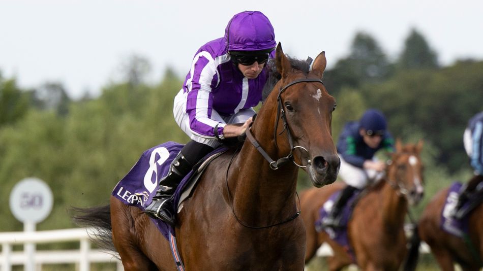 Ballydoyle runner backed to give Aidan O'Brien a flying start to July ...