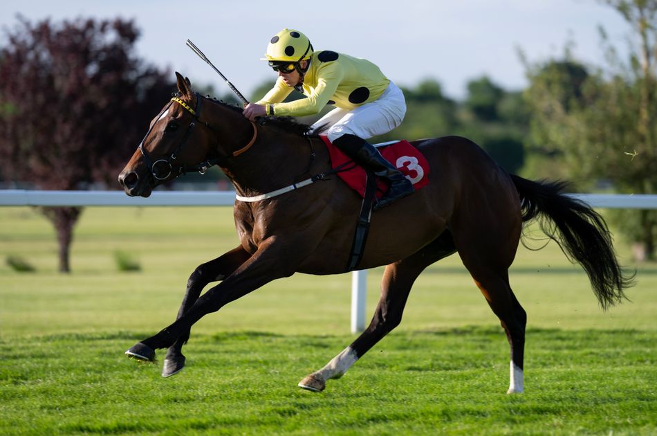 'He's got the potential to be a superstar' - Elite Status shoots to ...