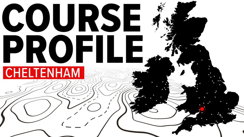 How to bet at Cheltenham with track insights and punting pointers ...