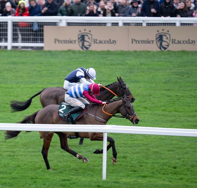 Cheltenham: Max McNeill's patience being rewarded as Butch completes ...