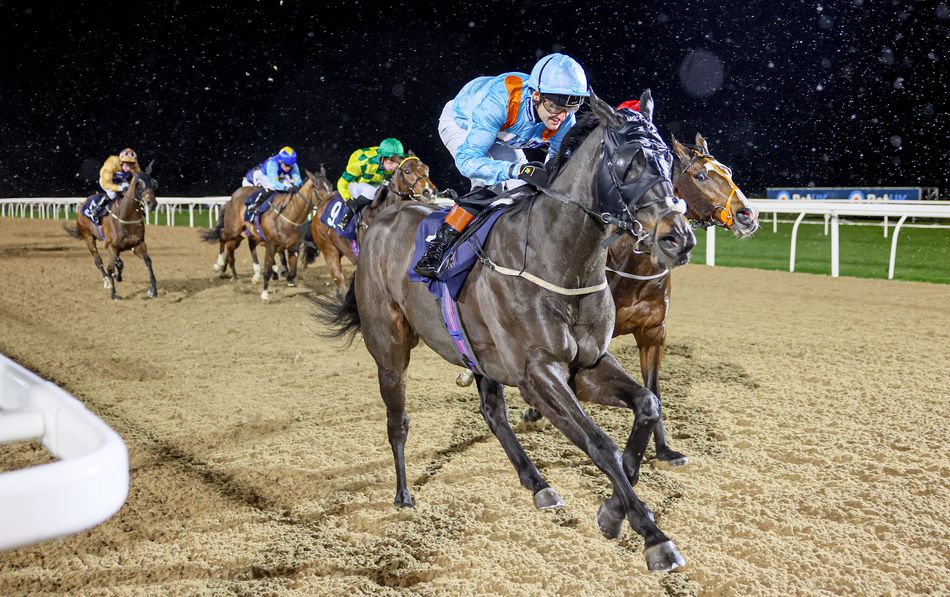 'As long as they go a gallop he must be in with a shout' - analysis and ...