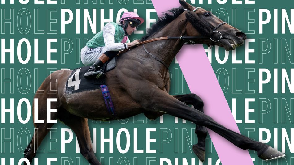 Can the Geoffrey Freer unearth a St Leger hope in Juddmonte's Pinhole ...