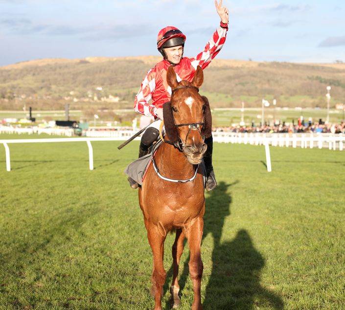 Cheltenham Festival winner Jazzy Matty scores at Sligo as Cian Collins ...