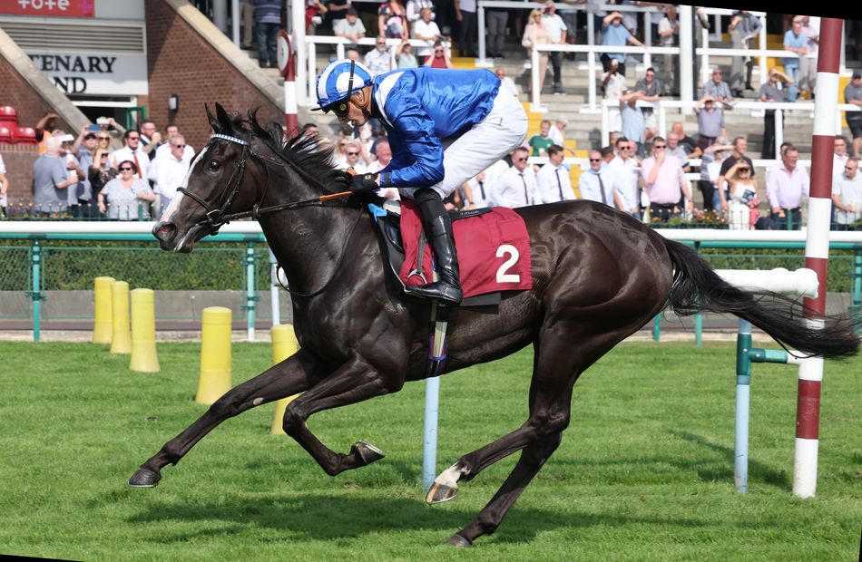 'I find it odd she's such a short-price favourite but I hope the market ...