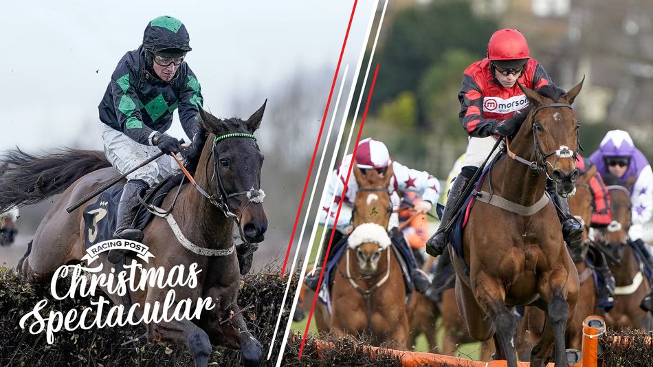 2023 Welsh Grand National pinstickers' guide: key quotes and star ...