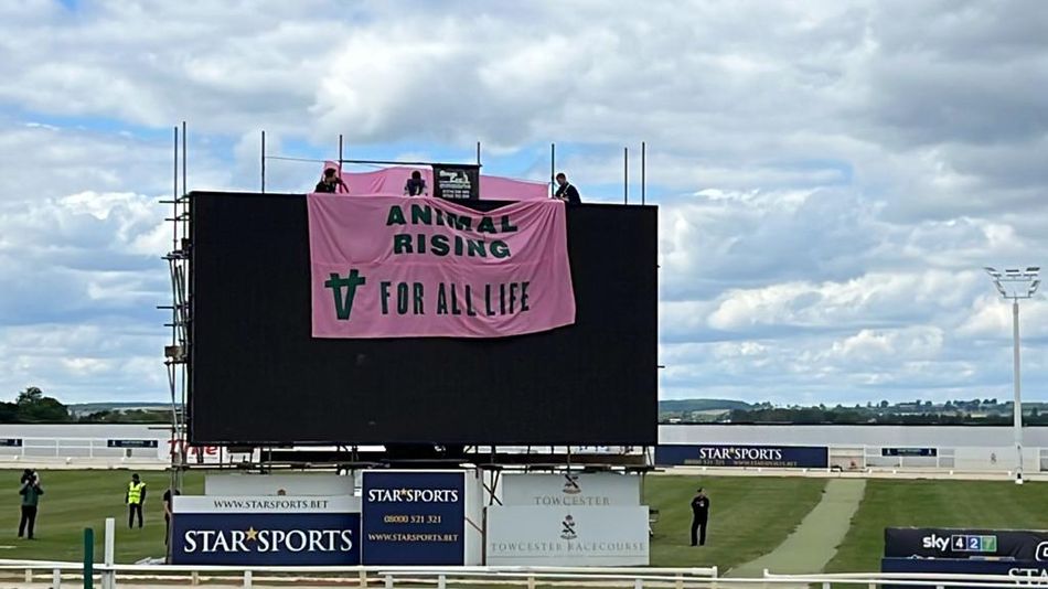 Animal Rising supporters scale Towcester big screen ahead of Greyhound ...