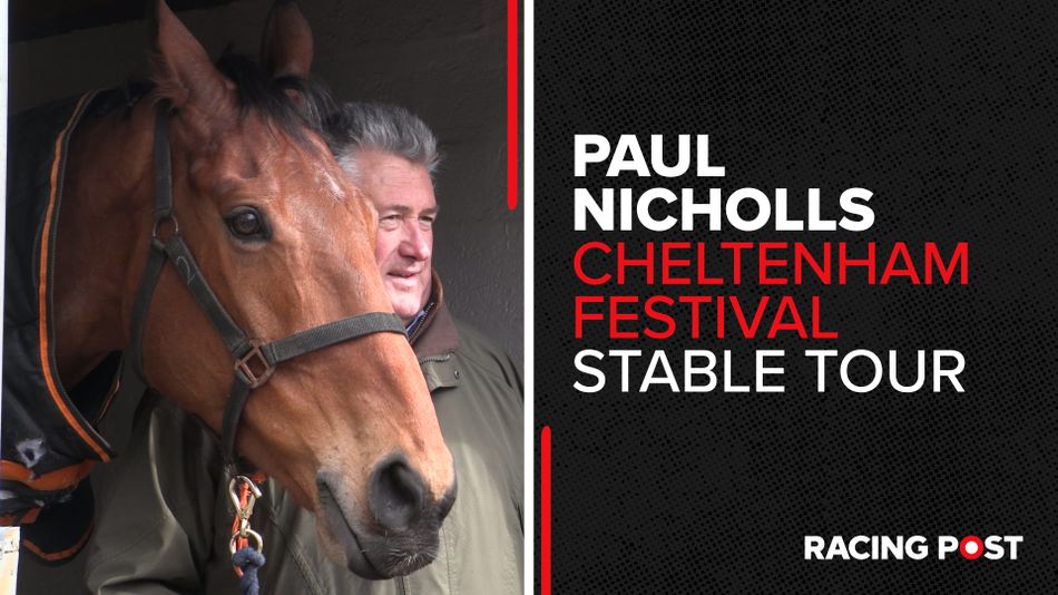 Watch: 2023 Cheltenham Festival stable tour with champion trainer Paul ...