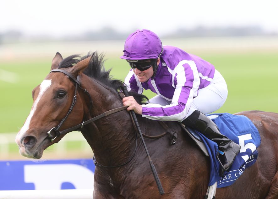 Impressive maiden winner Ocean Of Dreams and Illinois make their return ...