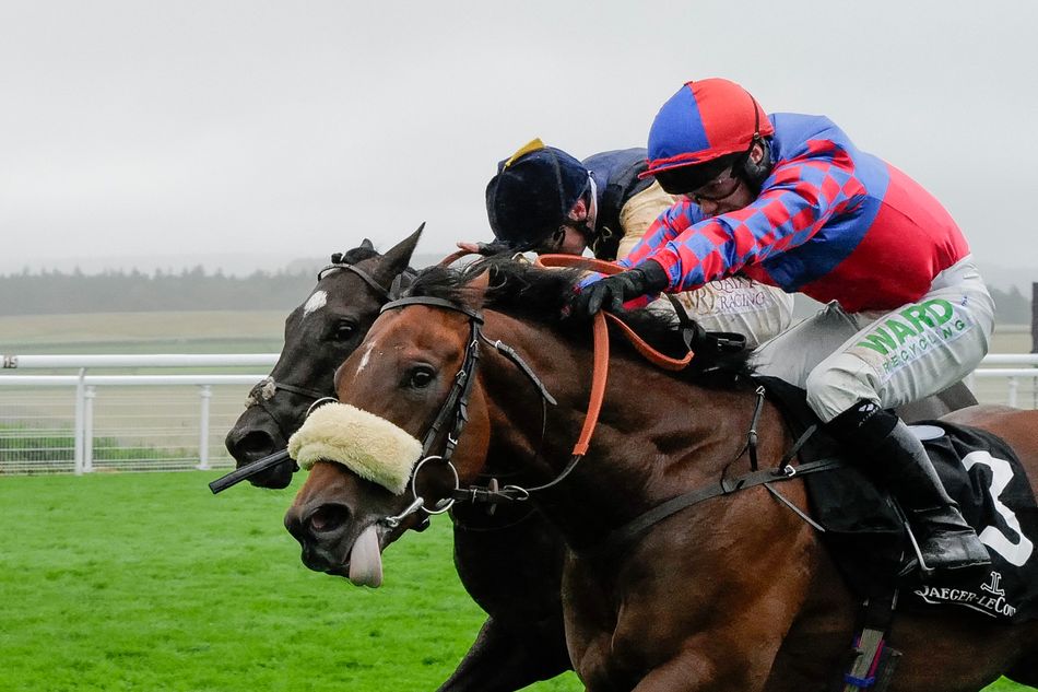 Mick Appleby juvenile Big Evs primed for potential Nunthorpe showdown ...