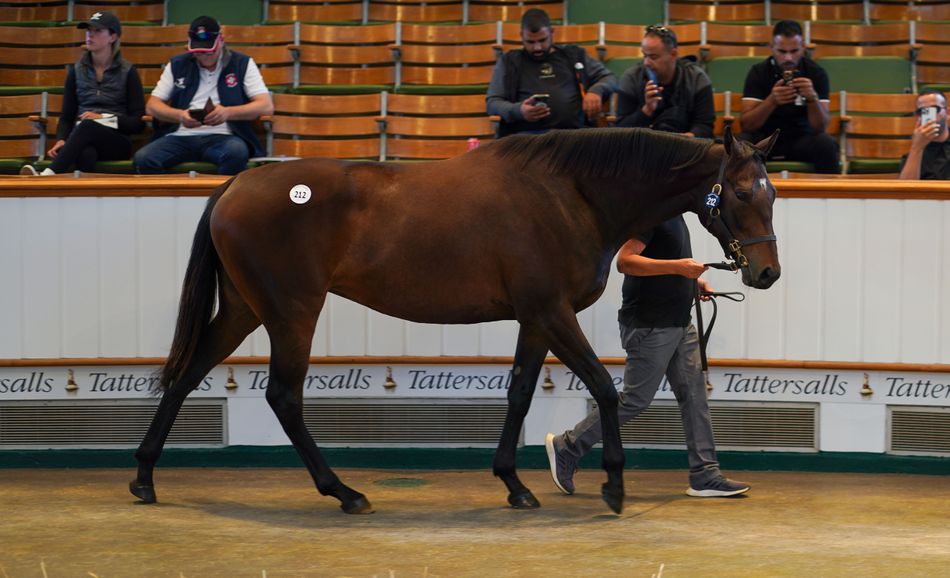 Buyers out in force as blue-blooded Galileo mare tops July Sale opener ...