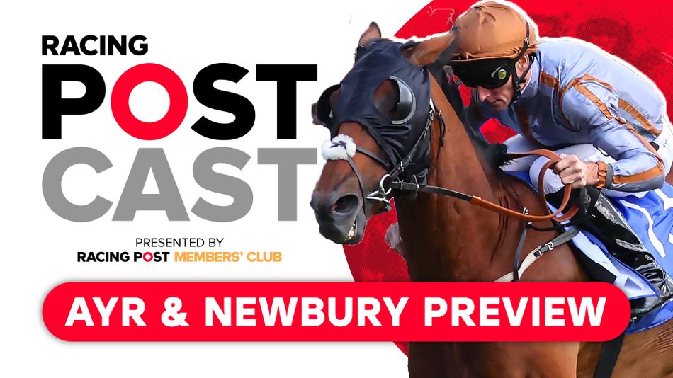 Racing Postcast: Ayr Gold Cup and Newbury weekend tips and preview show ...