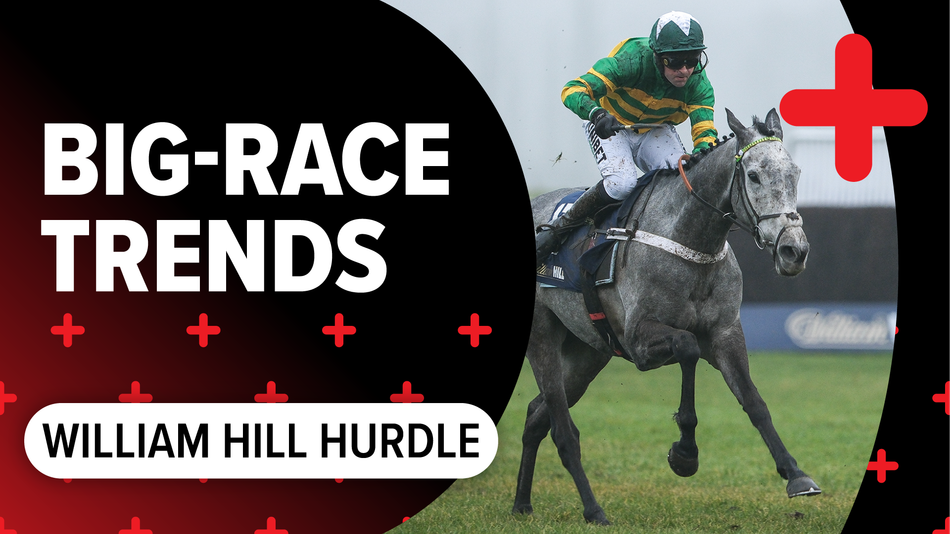 Big-race trends: key stats to help you find the winner of the William ...