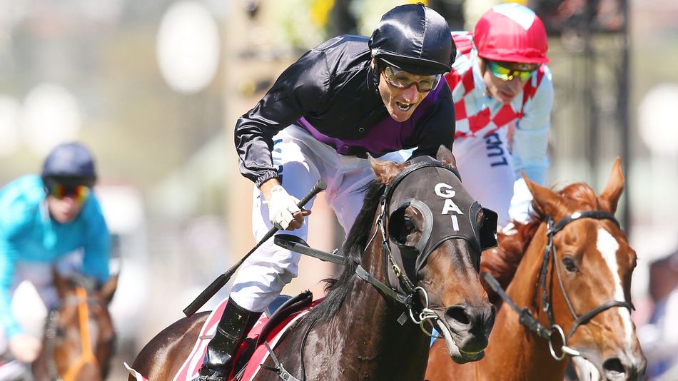 'The staff who knew him well are shattered' - death of Melbourne Cup ...