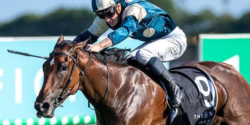'She's one of the fastest in the land' - James McDonald sweet on ...