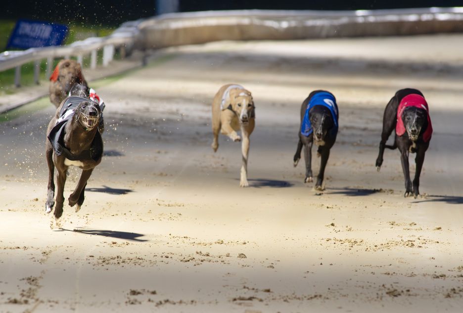Deniro waiting for English ace at Towcester | Racing Post